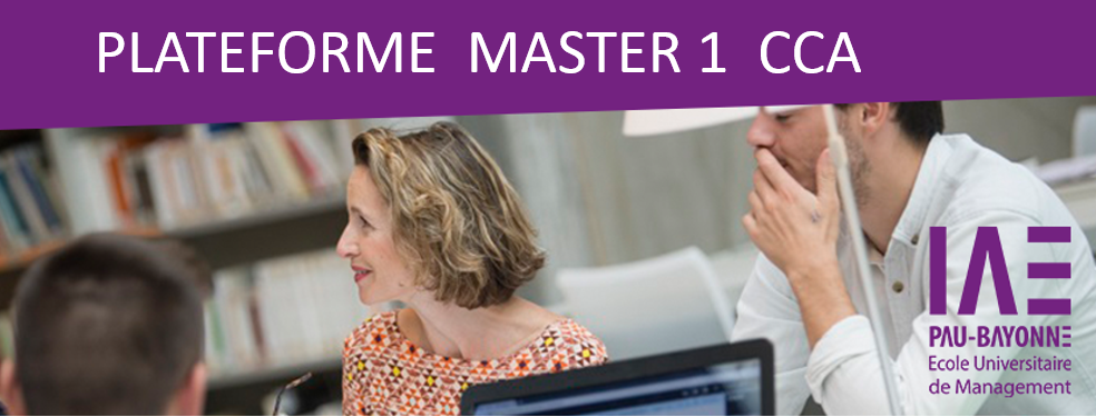 Plateforme MASTER 1 CCA | Elearn